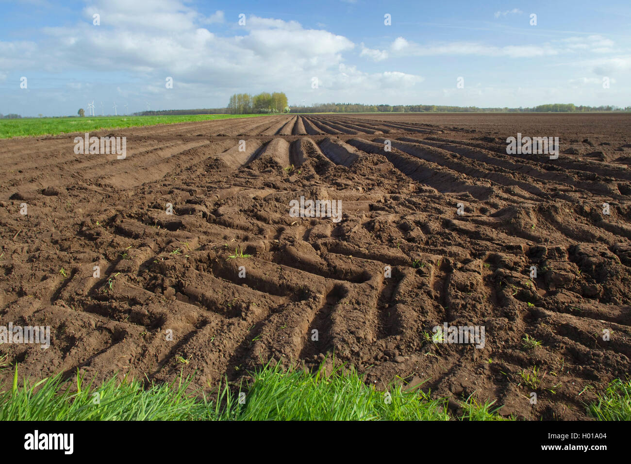 field at the end of April, Germany Stock Photo - Alamy