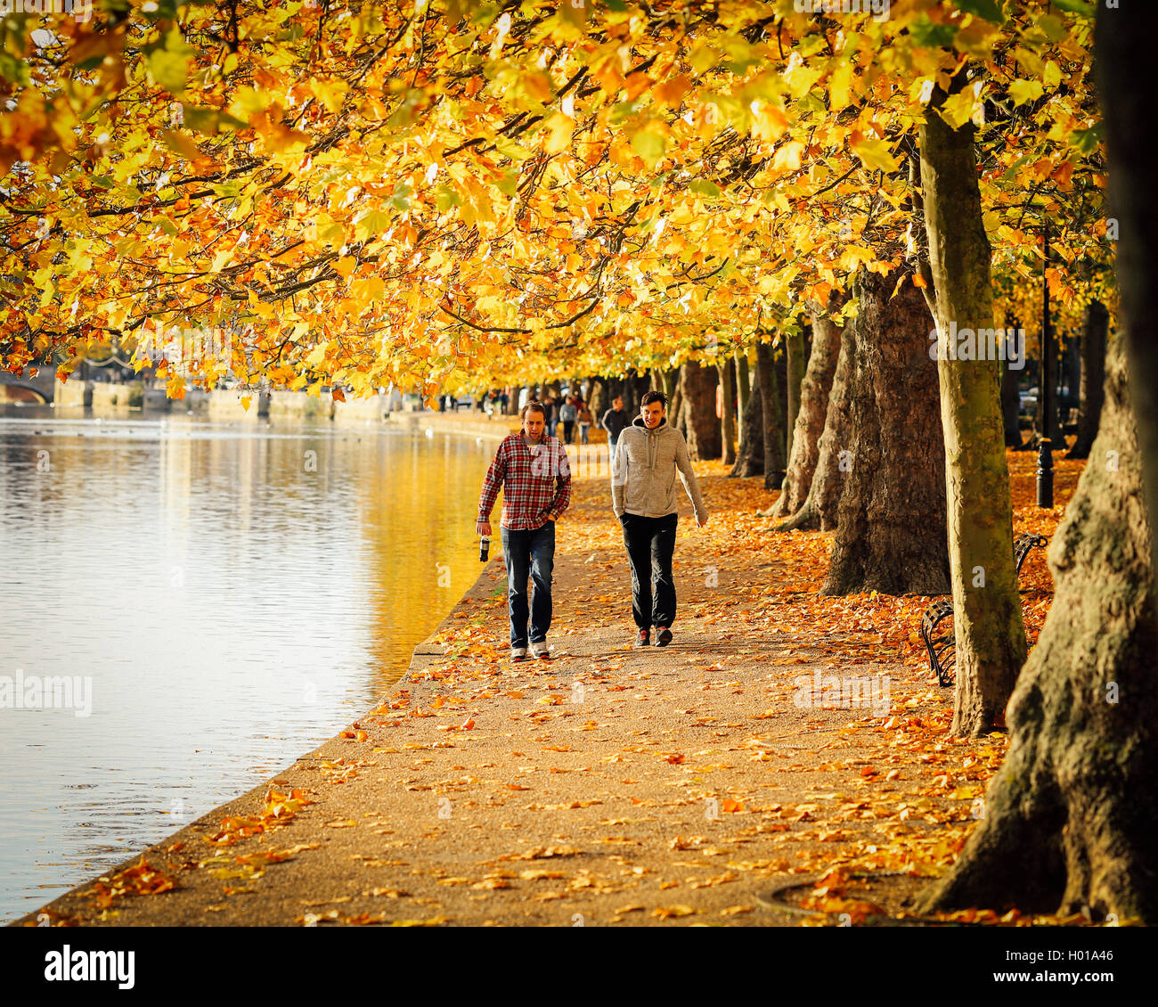 People walking under autumn foliage along river bank Stock Photo - Alamy
