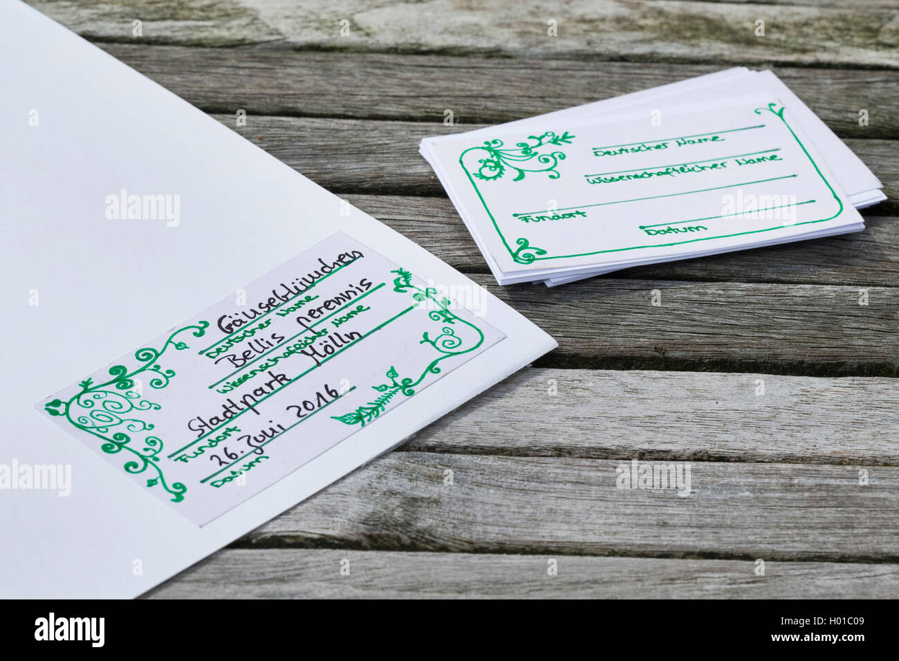 selfmade labels for harbarium sheets, Germany Stock Photo - Alamy