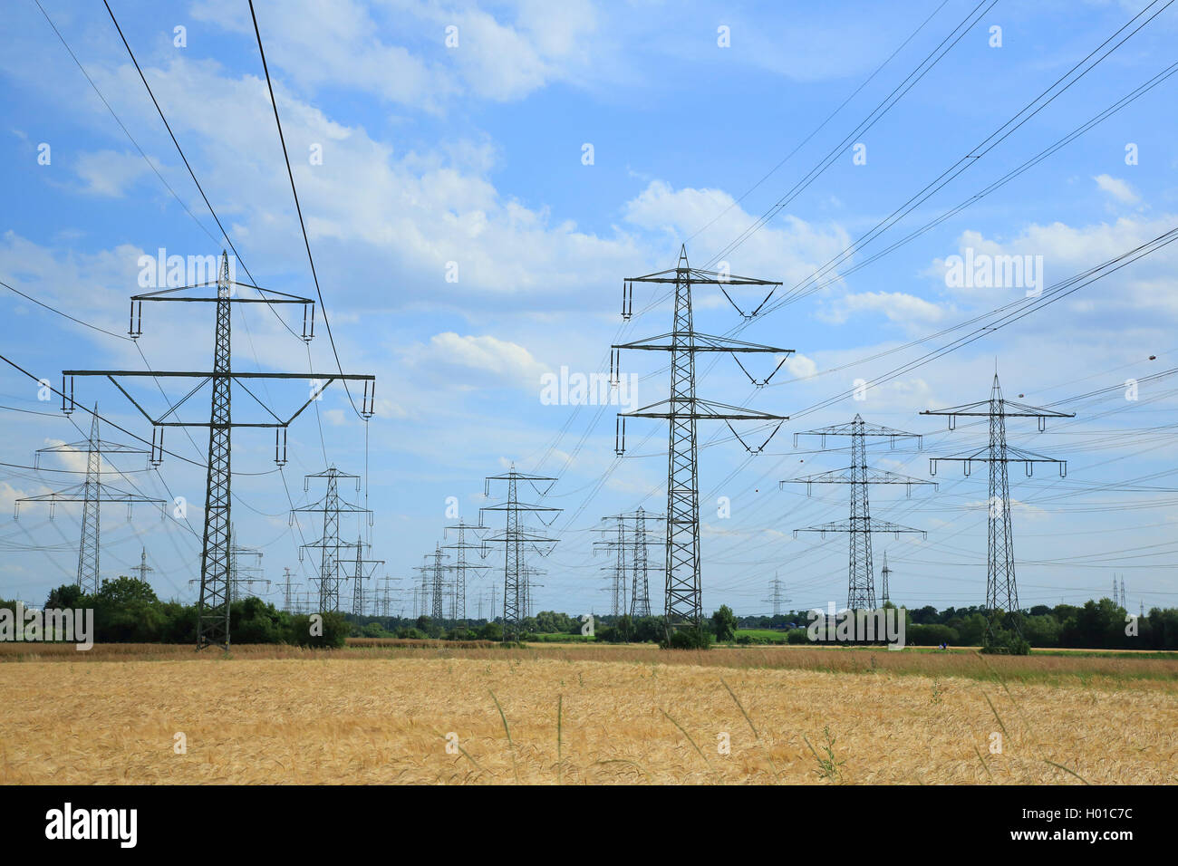 power poles in a grain field, Germany, Baden-Wuerttemberg Stock Photo ...
