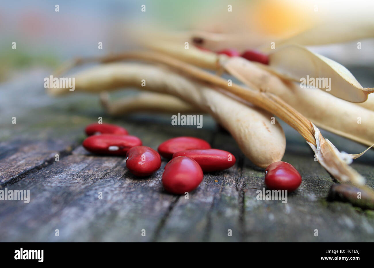 crop and beans red beans on a wooden surface Stock Photo - Alamy