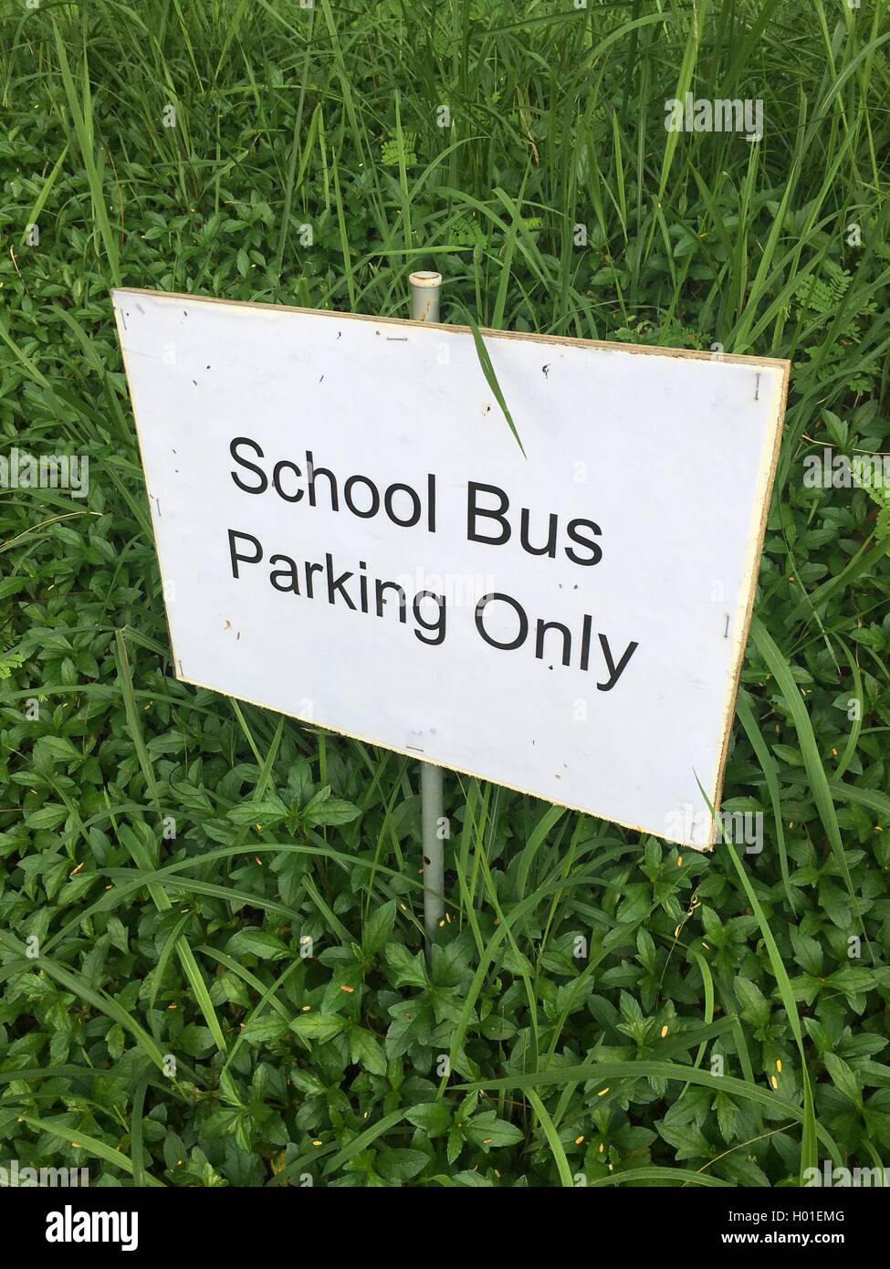 Bus parking sign hi-res stock photography and images - Alamy
