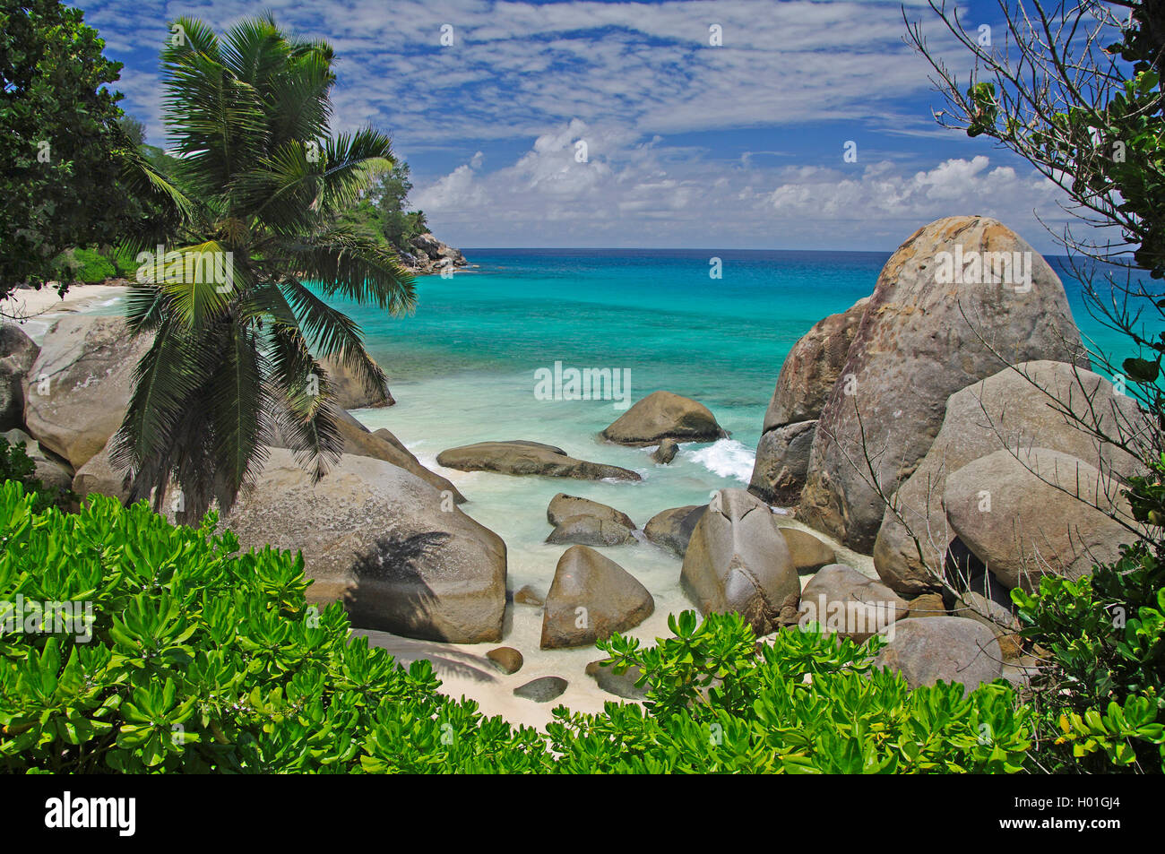 Rocky coast indian ocean hi-res stock photography and images - Alamy