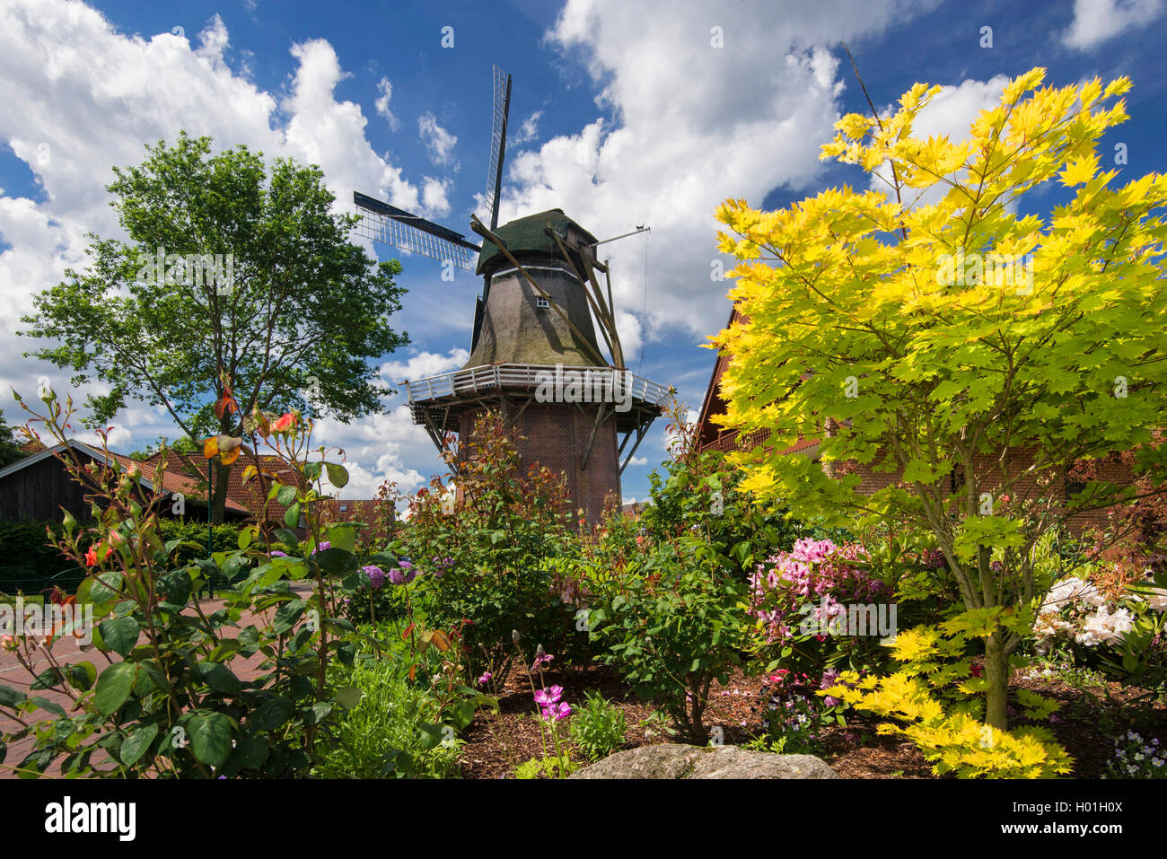 1870 erbaute Galerie-Hollaender-Windmuehle, Deutschland, Niedersachsen ...
