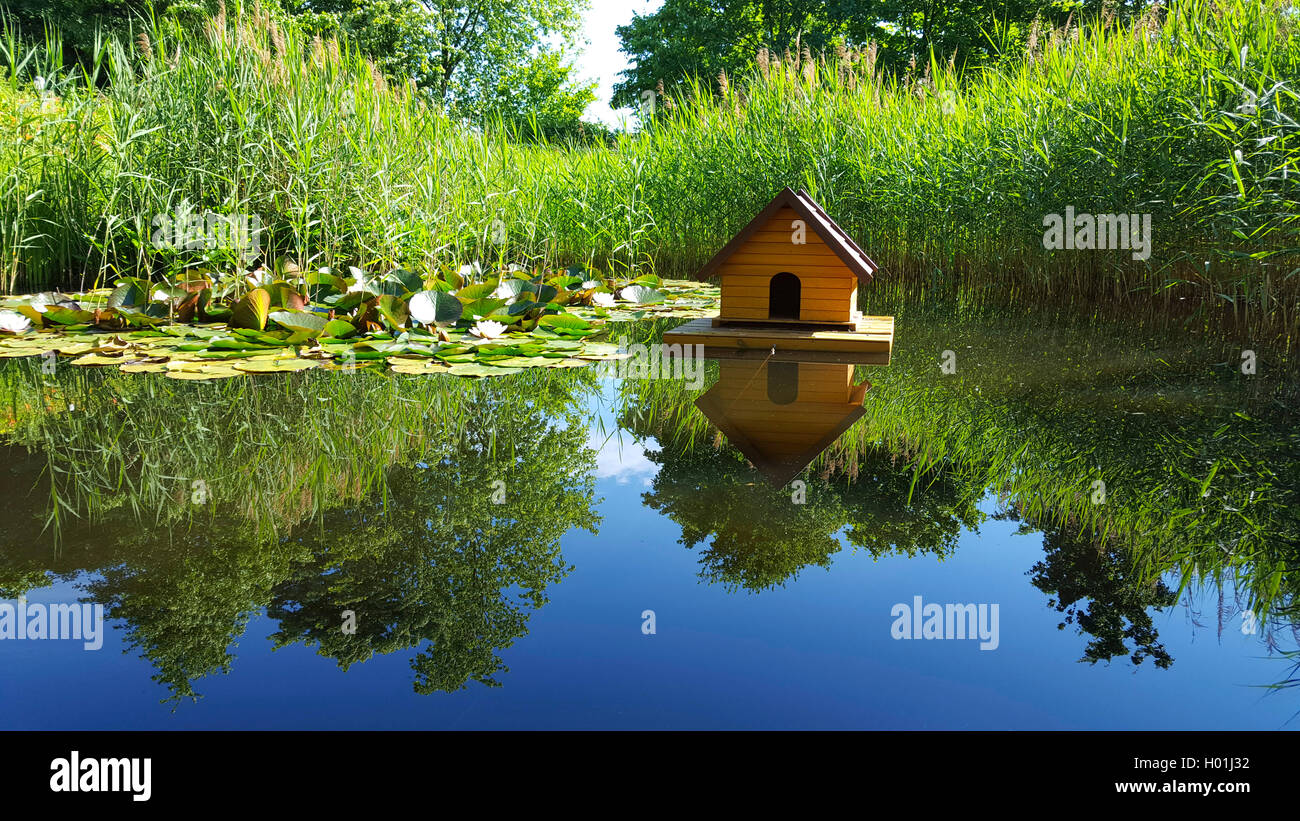 swimming duck house on a pond Stock Photo - Alamy