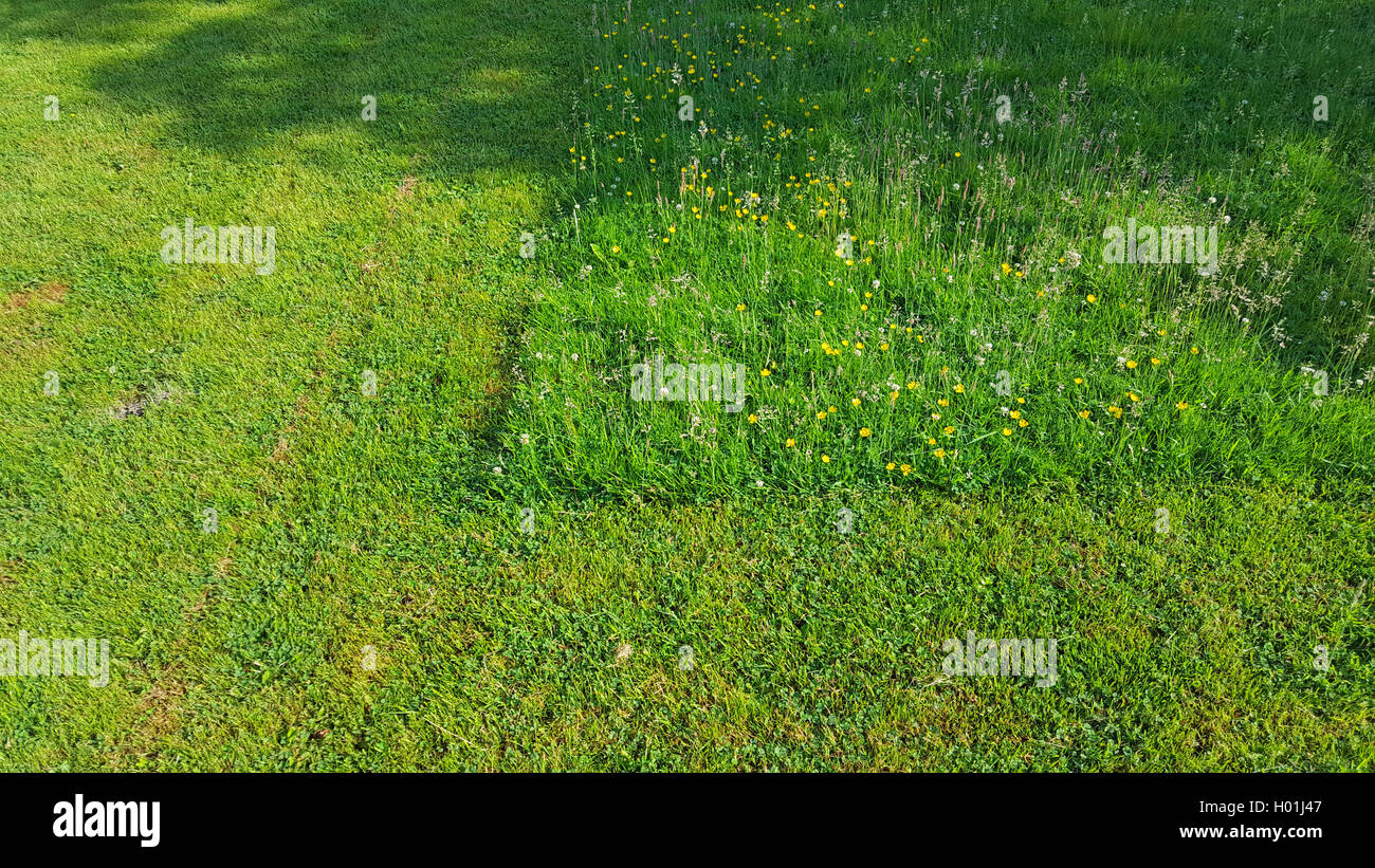 partial mown lawn Stock Photo - Alamy
