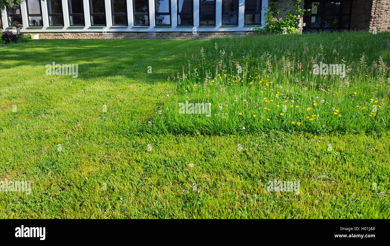 Lawn lawns grass hi-res stock photography and images - Alamy