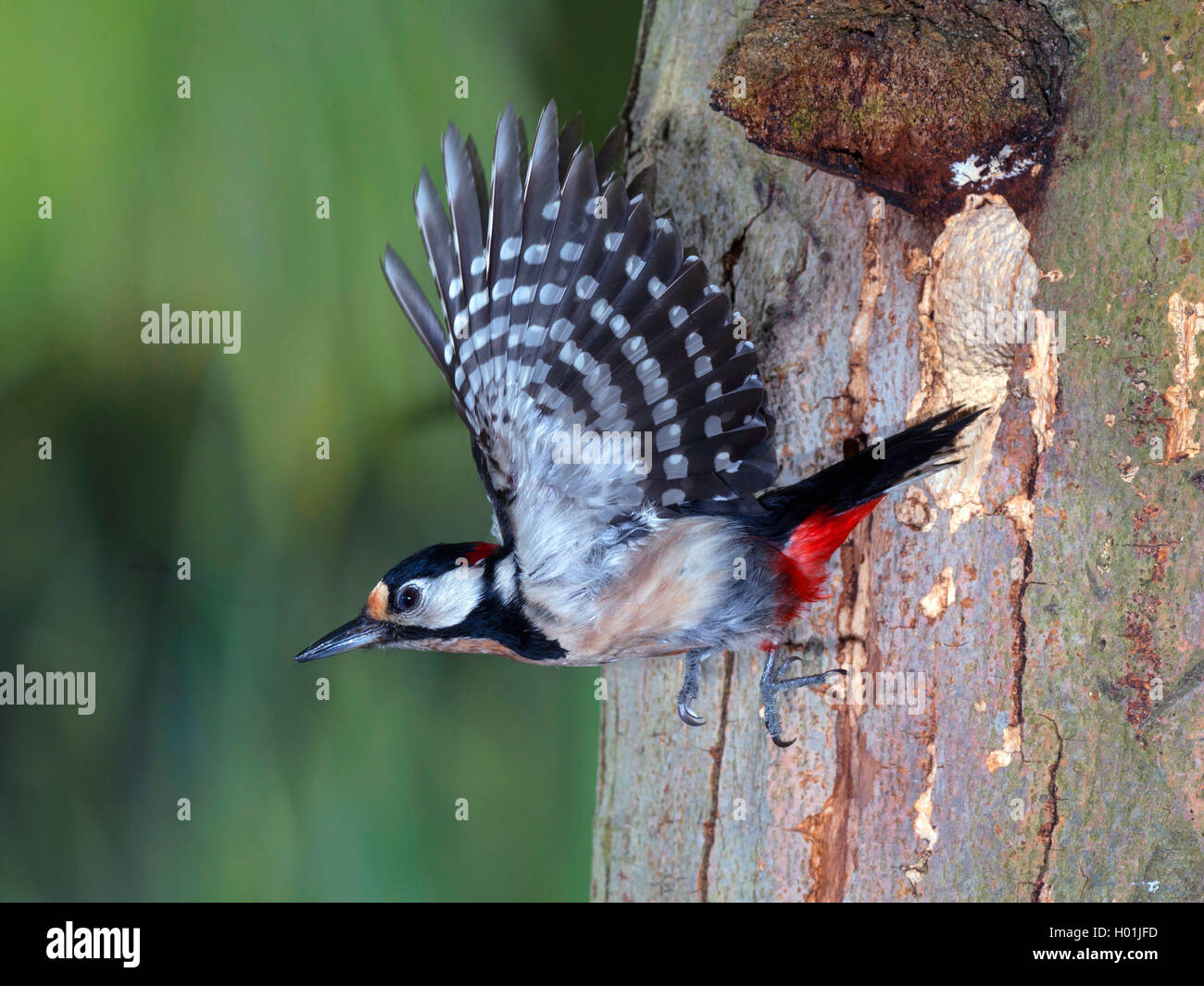 Schild foto hi-res stock photography and images - Alamy