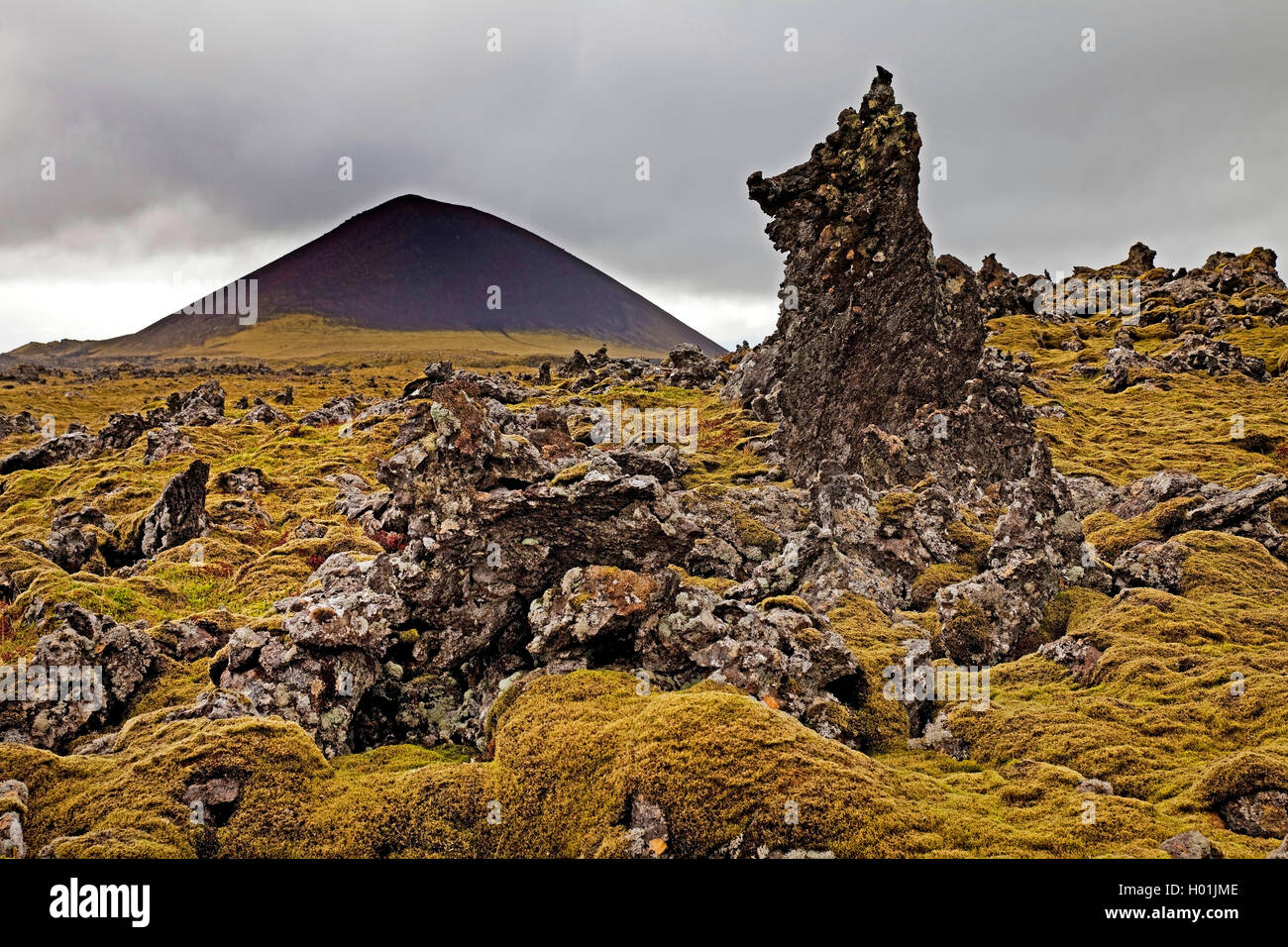 Lavae High Resolution Stock Photography and Images - Alamy