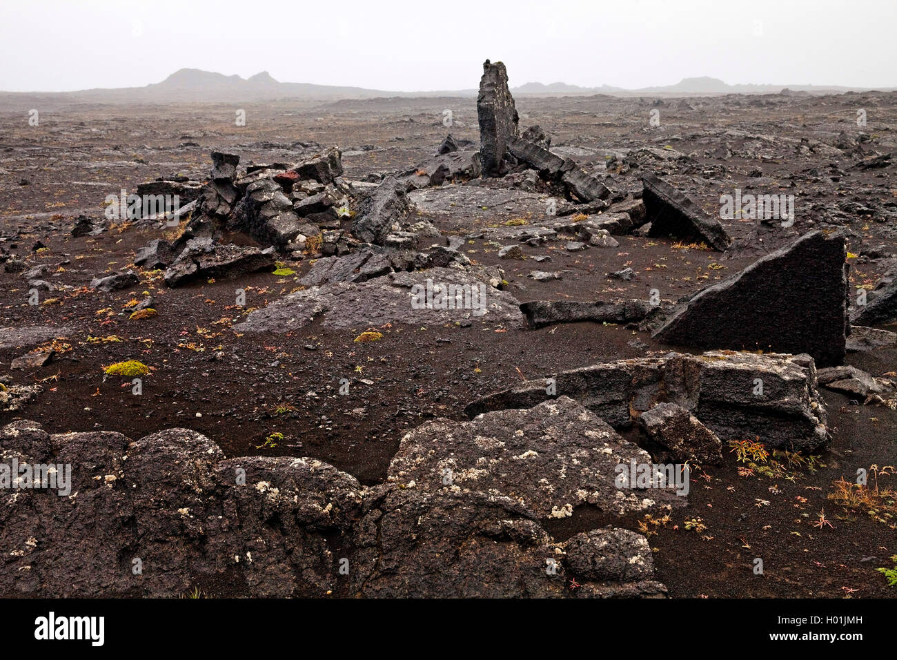 lava field of Cape Reykjanes, Iceland, Reykjanes Peninsula Stock Photo ...