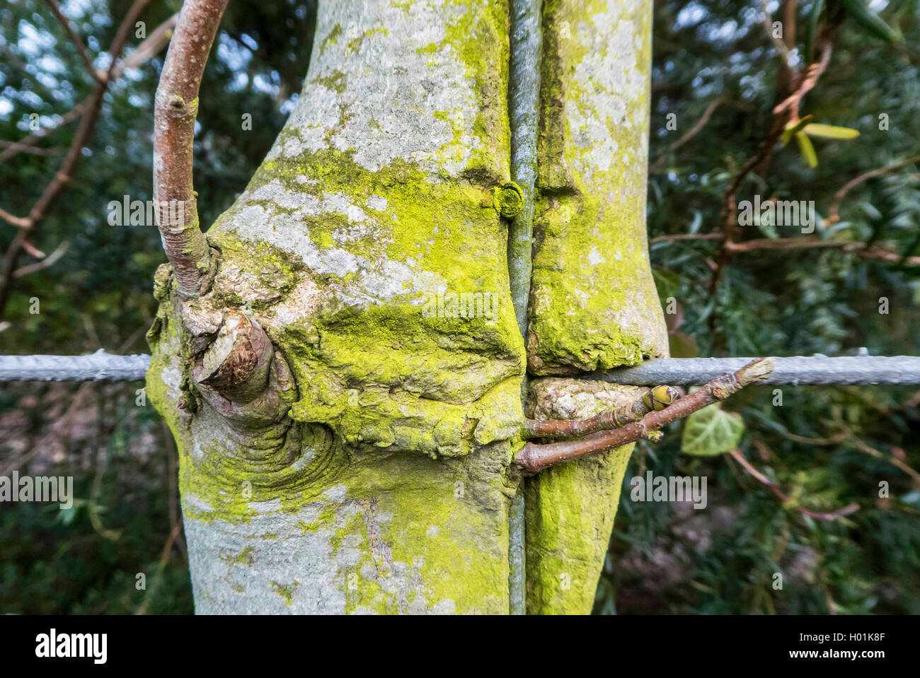 Steel mats hi-res stock photography and images - Alamy