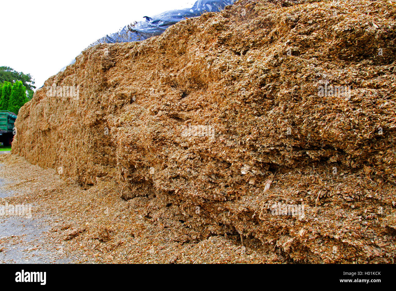 silage underneath plastic sheeting , Germany Stock Photo - Alamy