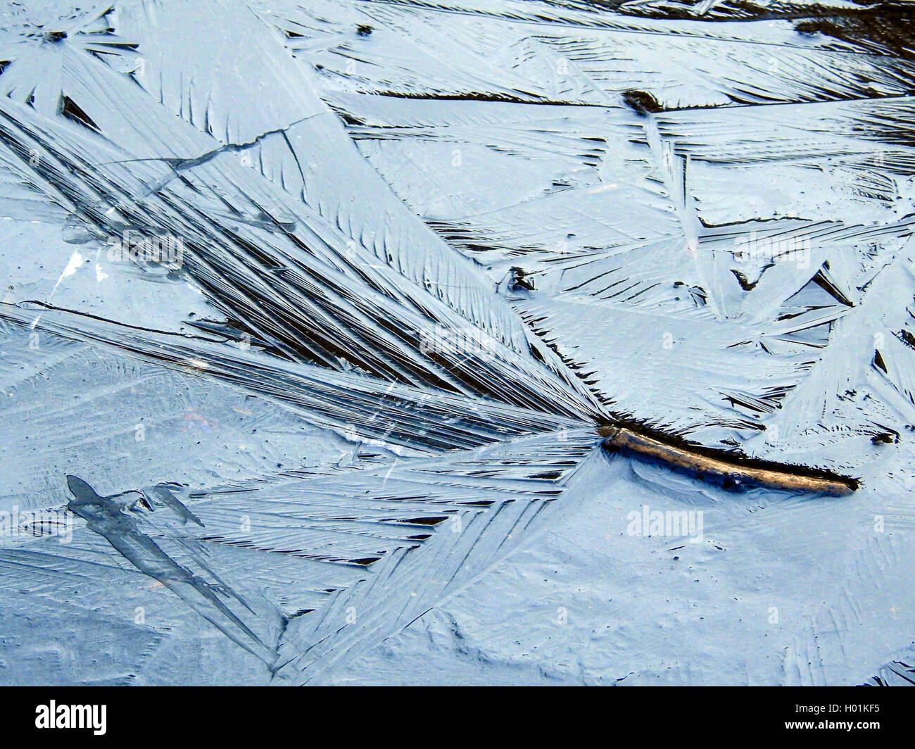 Ice puddle hi-res stock photography and images - Alamy
