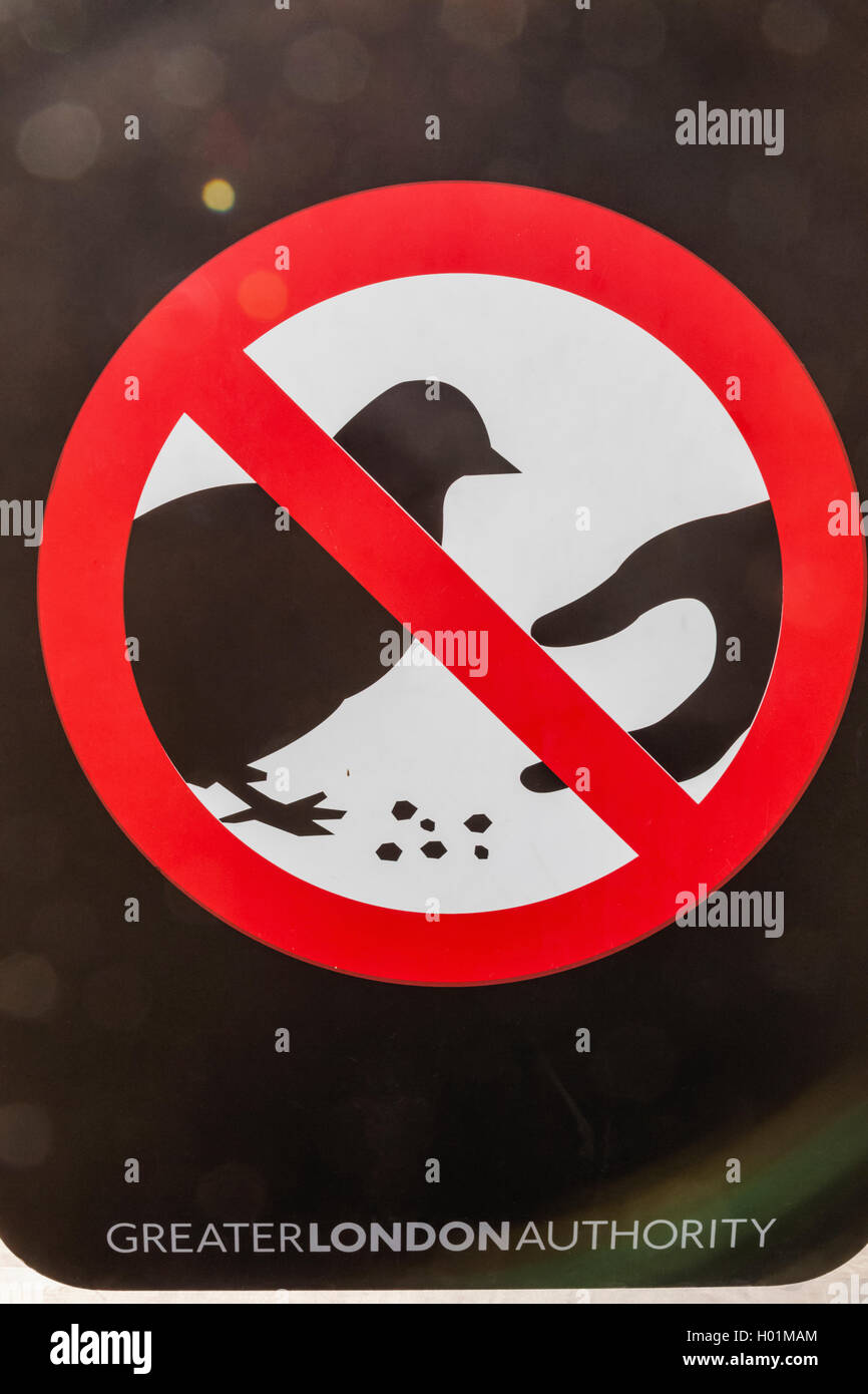 England, London, Trafalgar Square, Do Not Feed The Pigeons Sign Stock ...