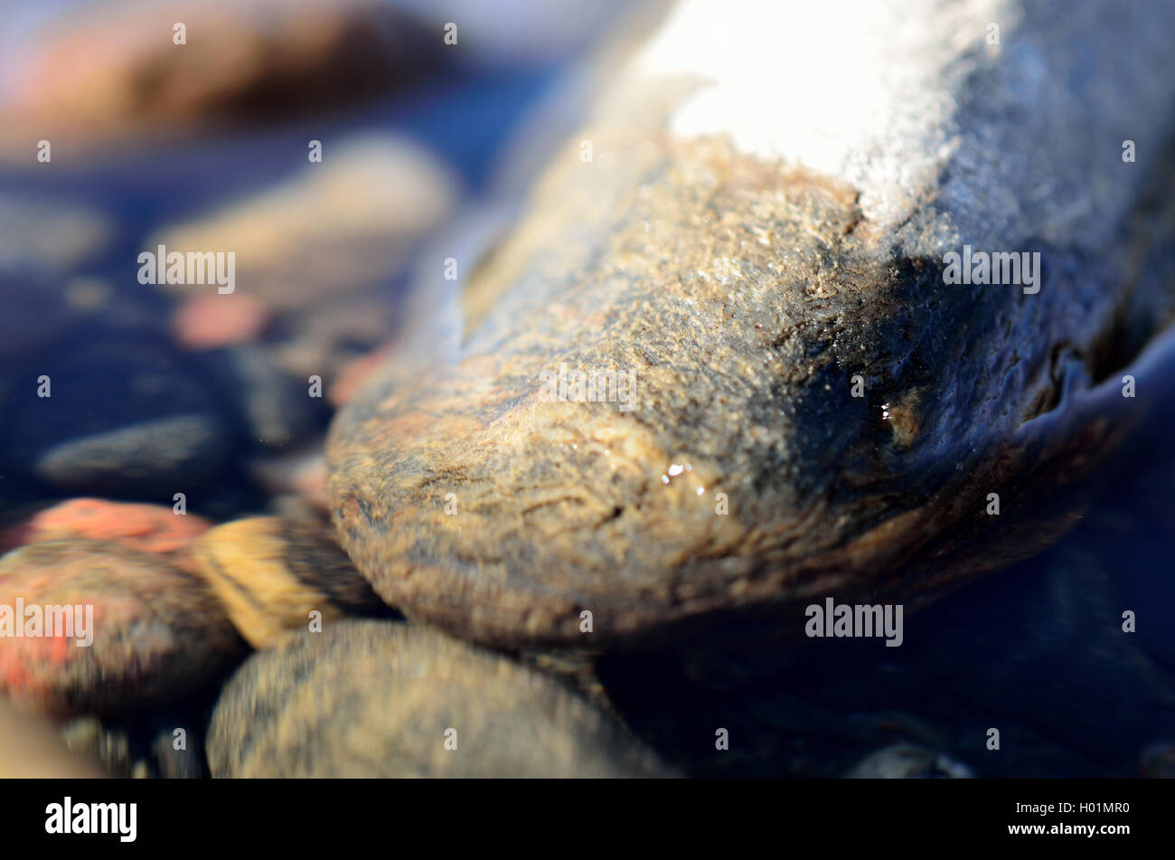 water mark on river rock Stock Photo - Alamy