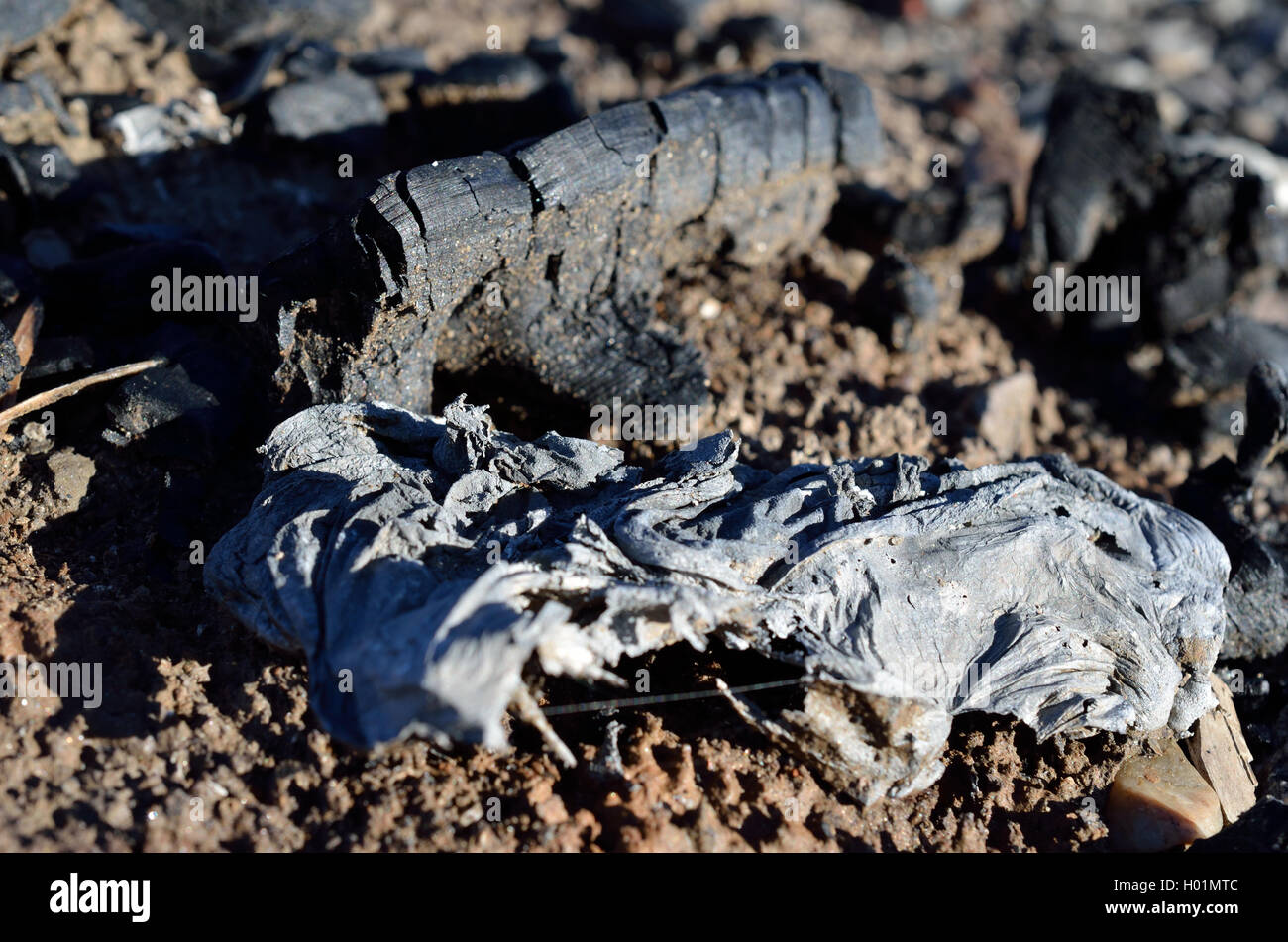 charcoal remnants after campfire Stock Photo - Alamy
