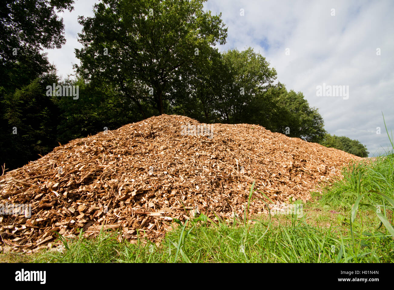 Shredded wood hi-res stock photography and images - Alamy