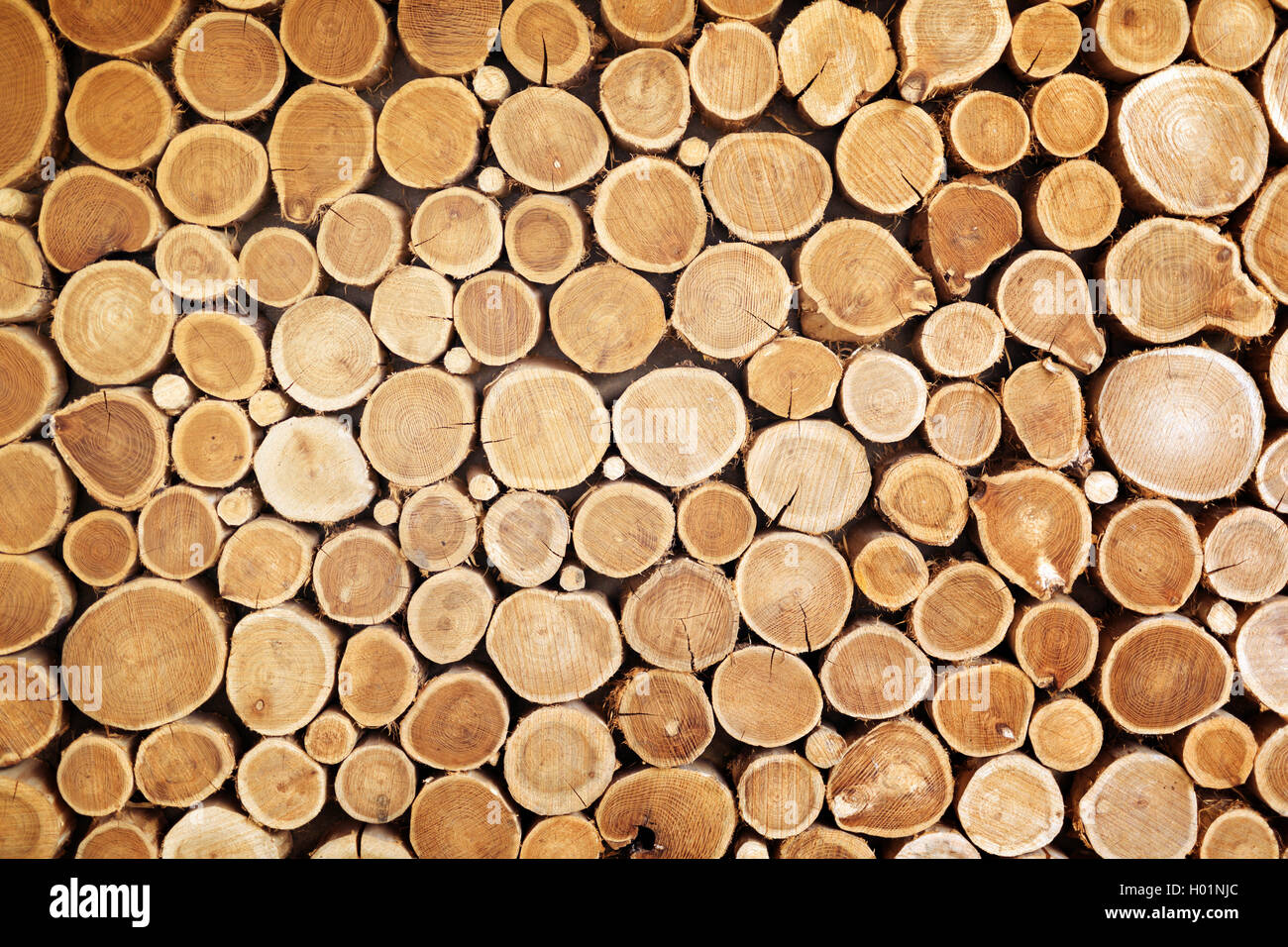 Log texture hi-res stock photography and images - Alamy