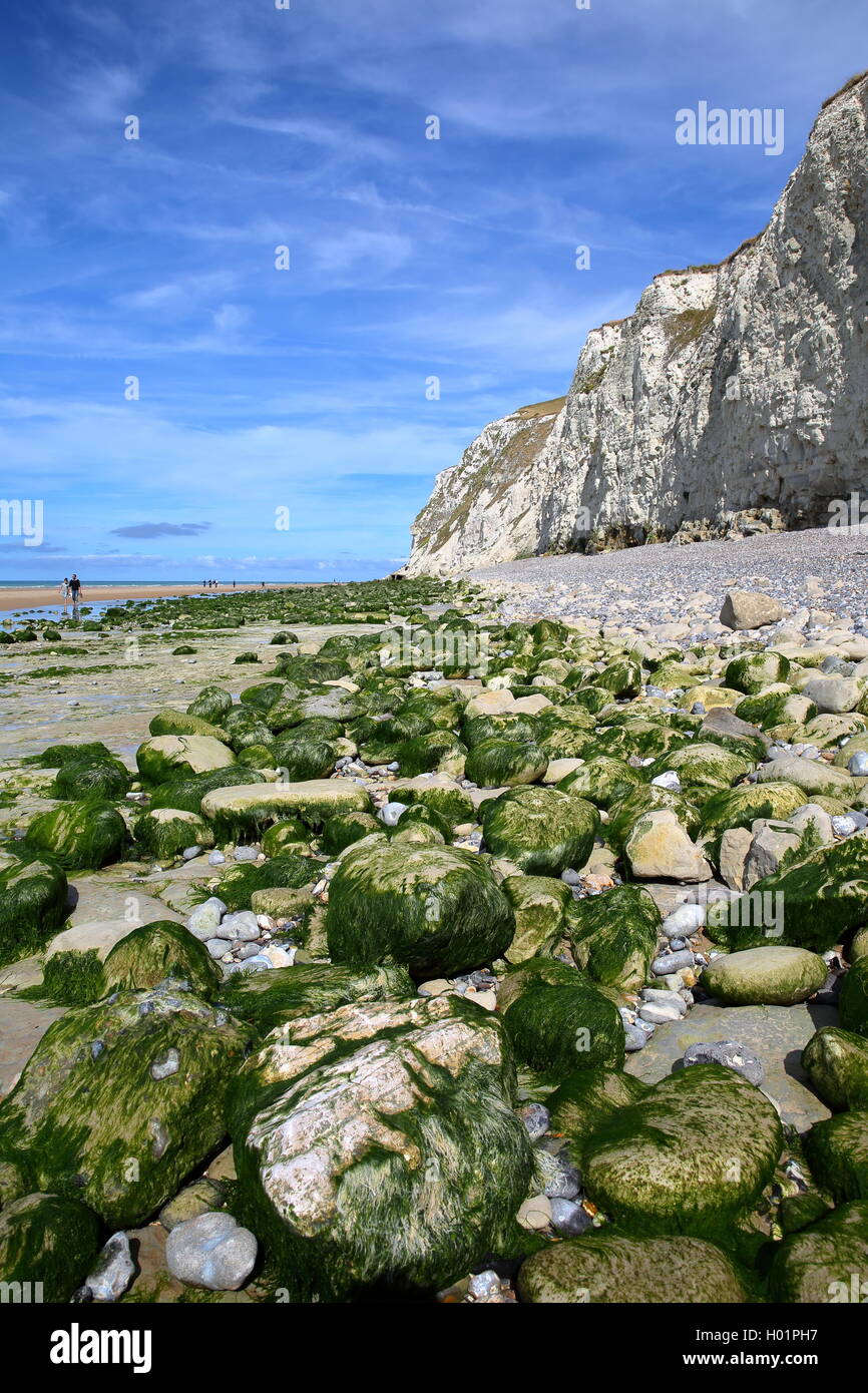 The beach at low tide, Cap Blanc Nez, Cote d'Opale, Pas-de-Calais ...