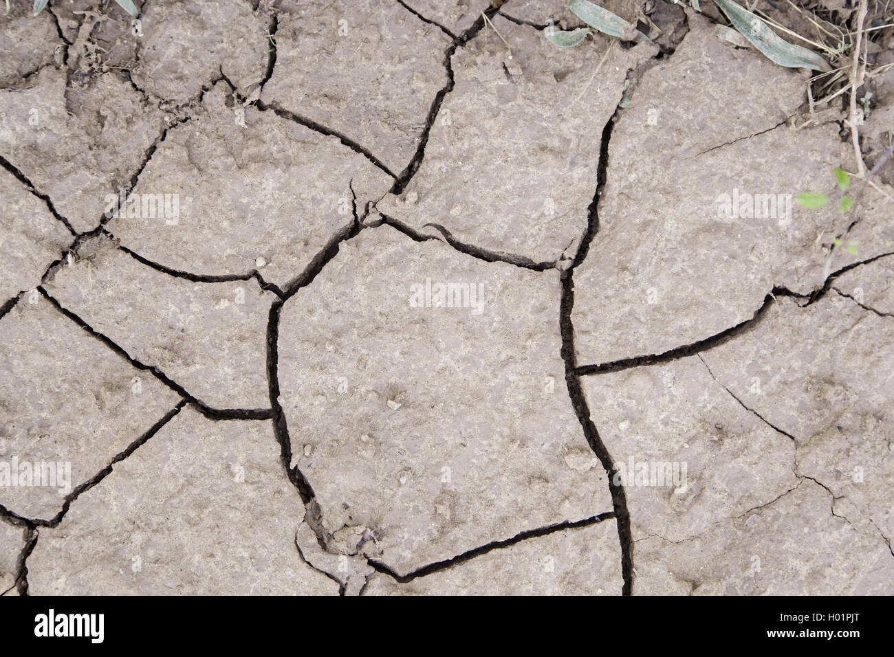 Dry soil by a drought, detail of climate change, ecological disaster ...