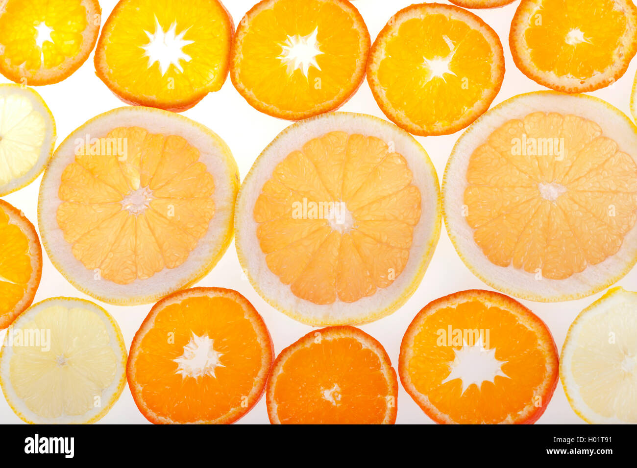 Fresh slices of citrus fruits in studio backlight Stock Photo - Alamy