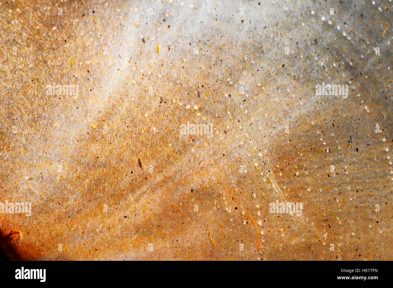 Macro Pearl Nacre Texture High Resolution Stock Photography and Images ...