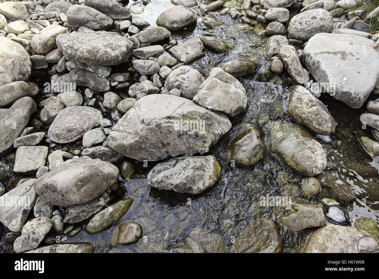 Wet stones in a river, detail of boulders, nature Stock Photo - Alamy