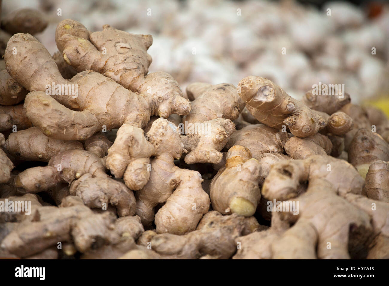 Group of fresh ginger on a market Stock Photo - Alamy
