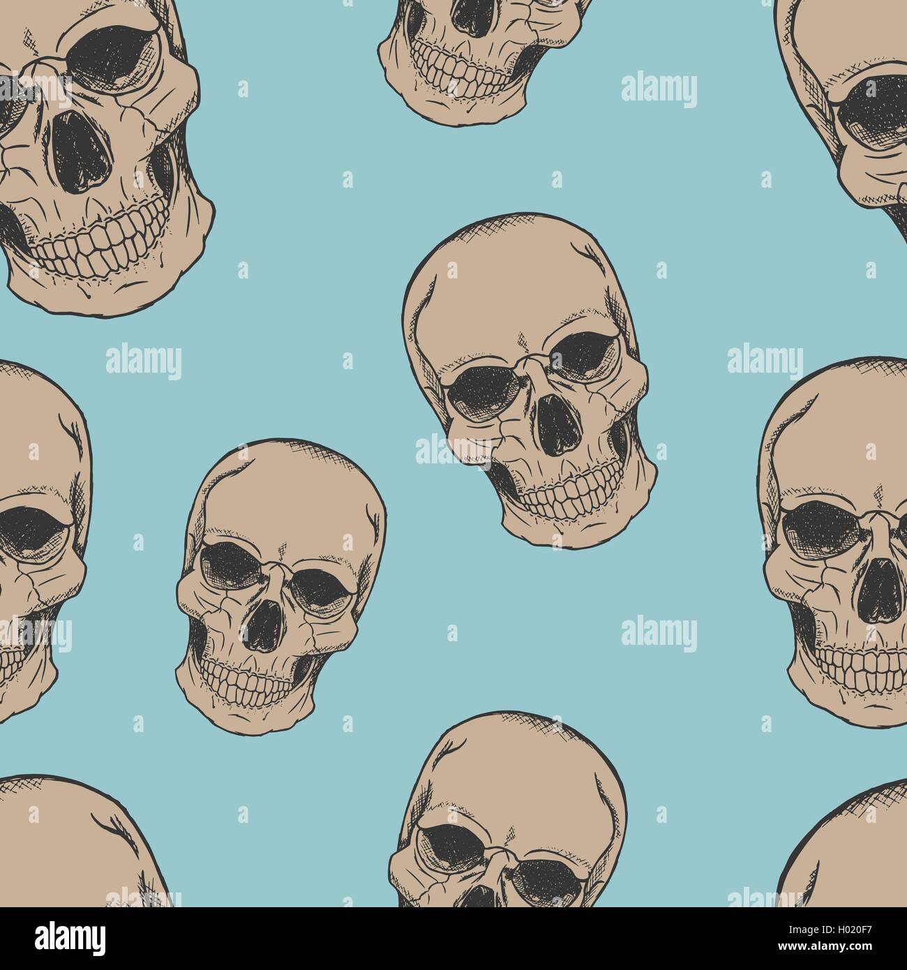 Human scull sketch pattern Stock Vector Image & Art - Alamy