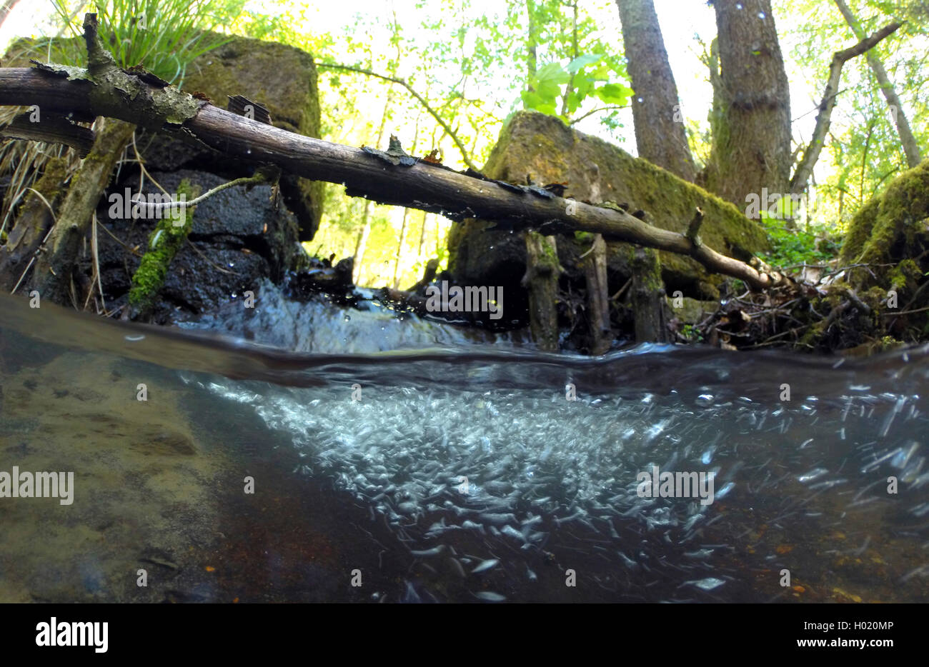 Split level pictures hi-res stock photography and images - Alamy