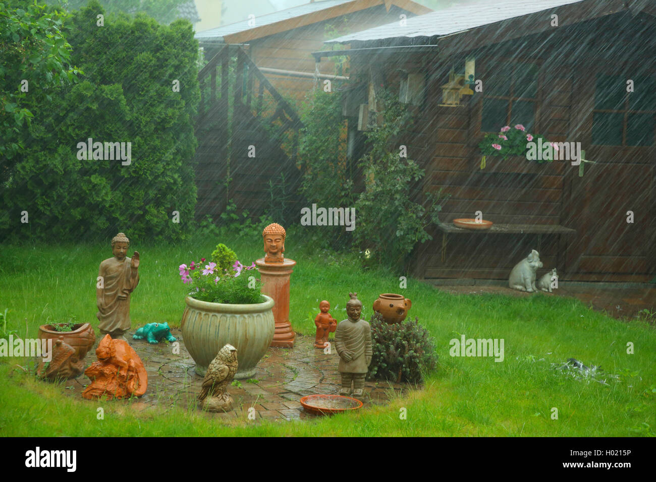 heavy rainfall in the garden, Germany Stock Photo - Alamy