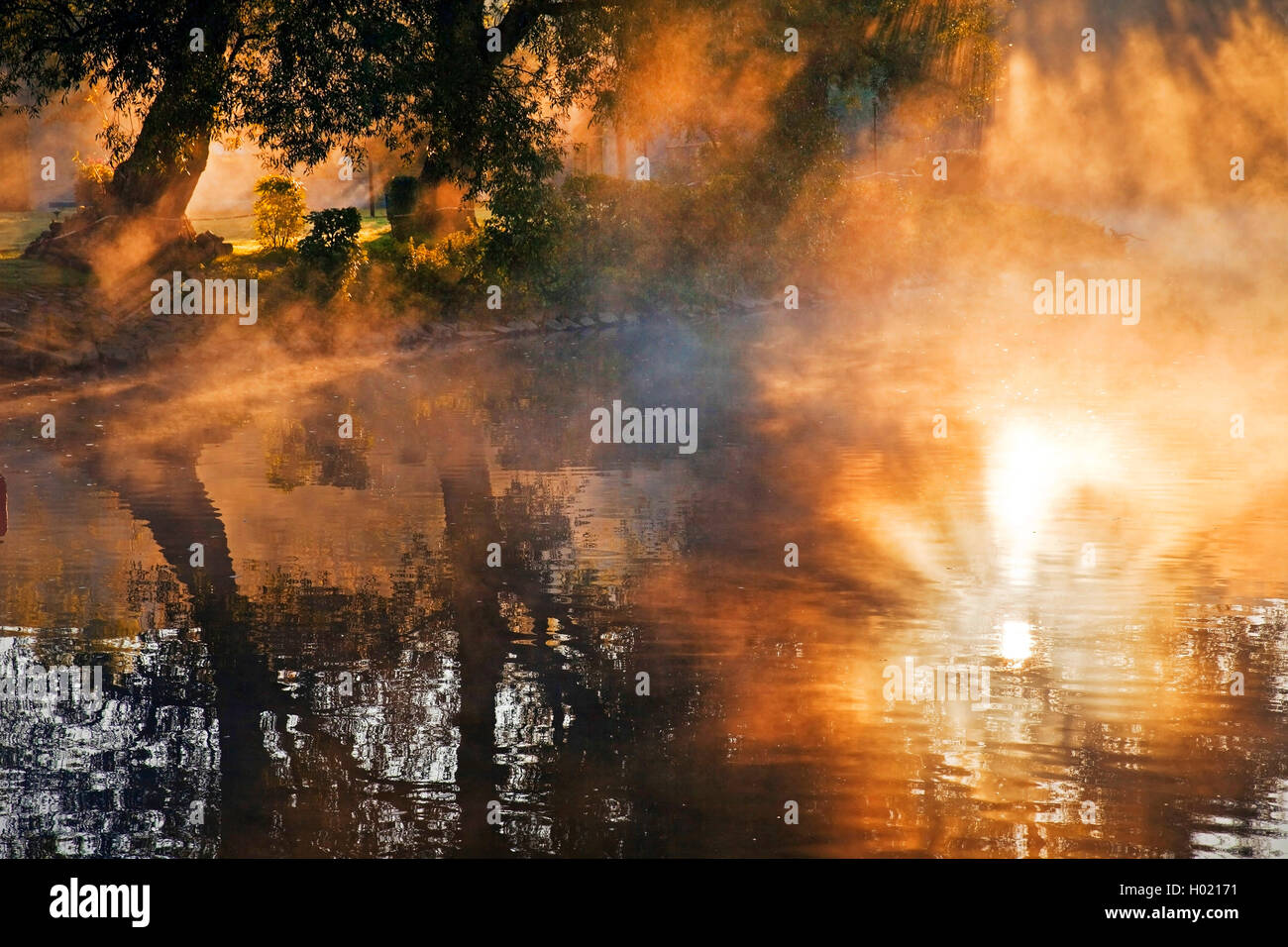 Reflecting morning sun hi-res stock photography and images - Alamy