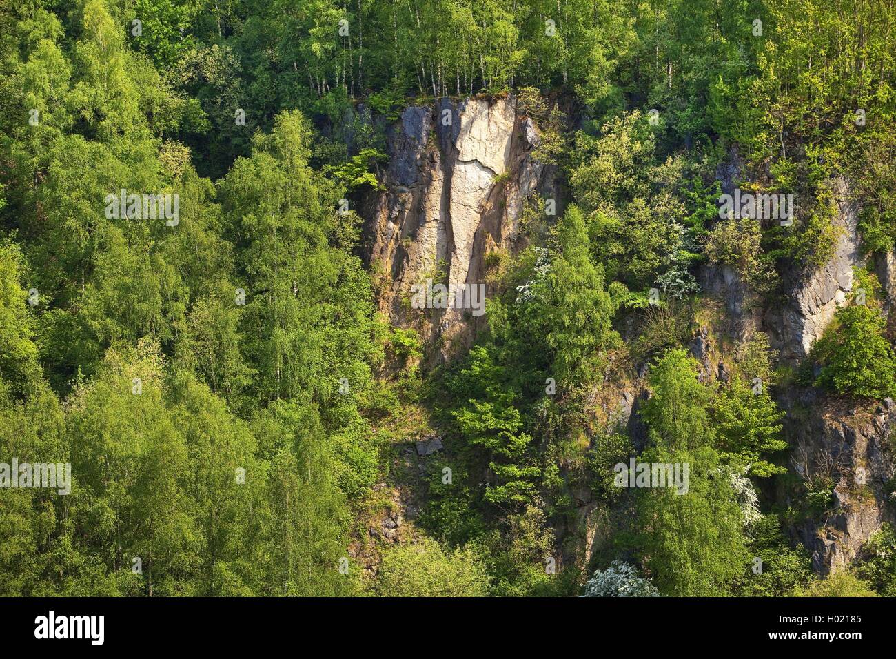 rock formation of former limestone quarry Bochumer Bruch, Germany ...