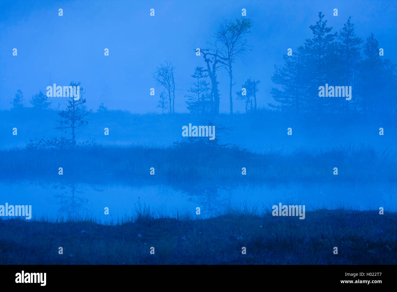 Moor landscape with lake in morning mist hi-res stock photography and ...