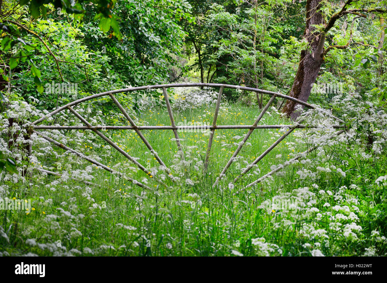 overgrown gate, Germany, Lower Saxony Stock Photo - Alamy