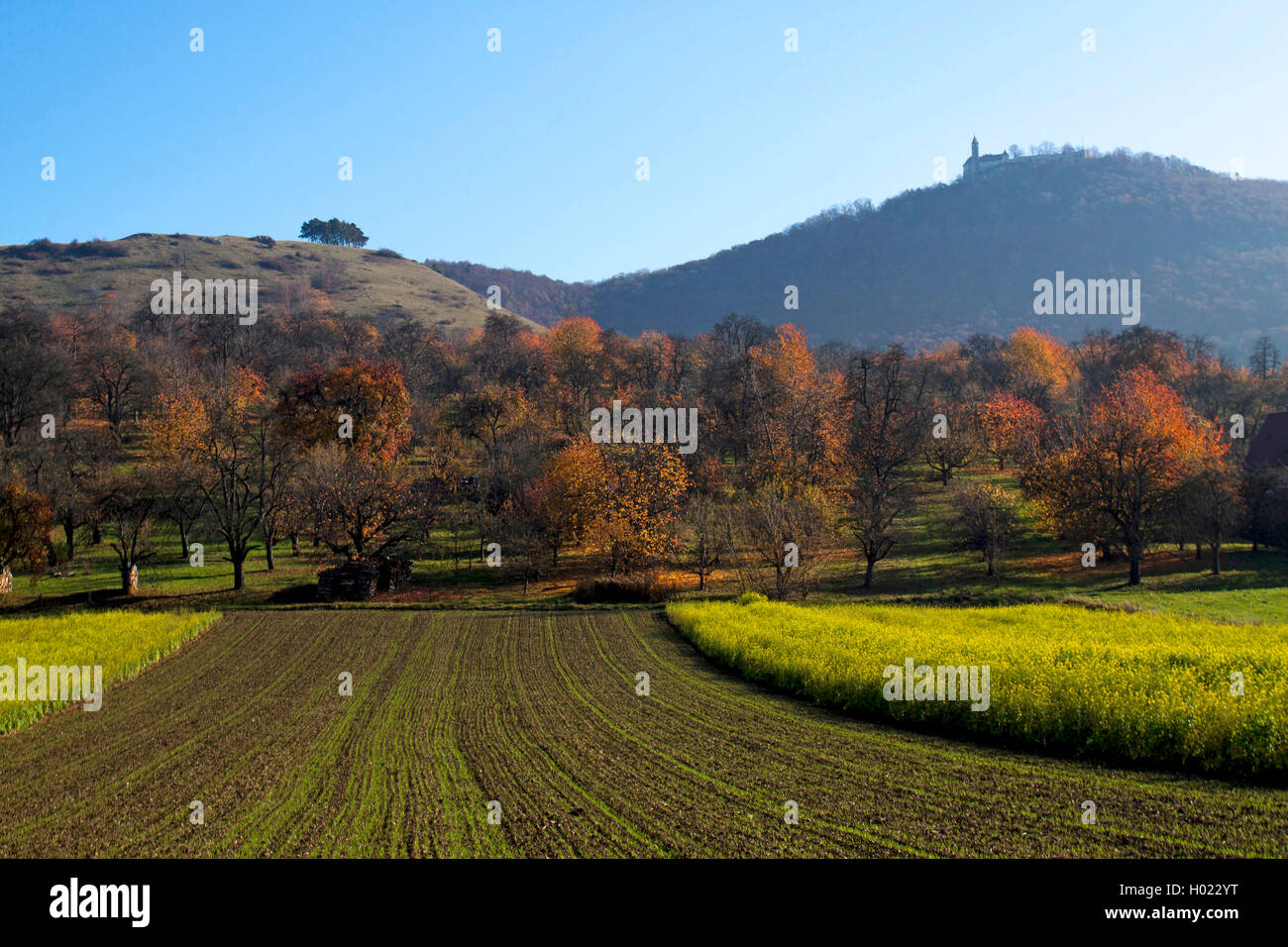Teck castle hi-res stock photography and images - Alamy