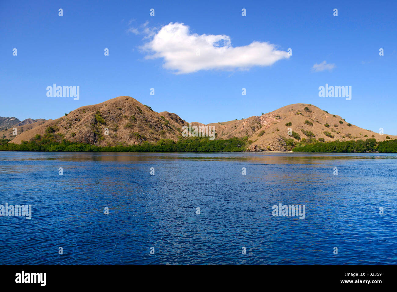 hills and grassland of the island Rinca, Indonesia, Rinca, Komodo ...