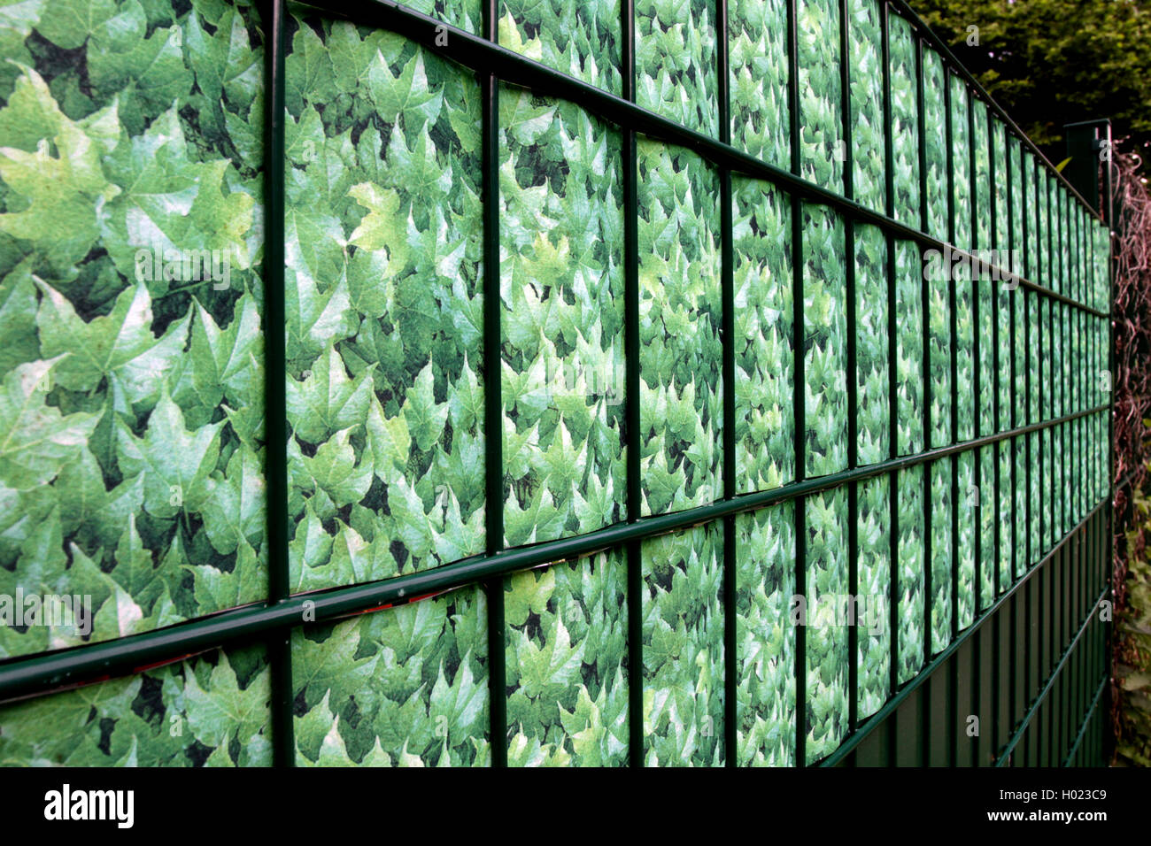 fence providing privacy, Germany Stock Photo - Alamy