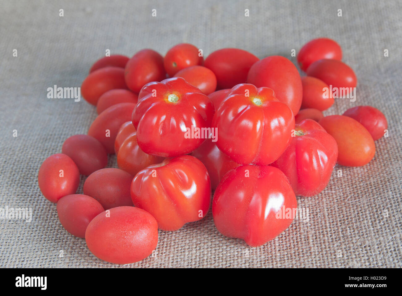 Tound tomatoes hi-res stock photography and images - Alamy