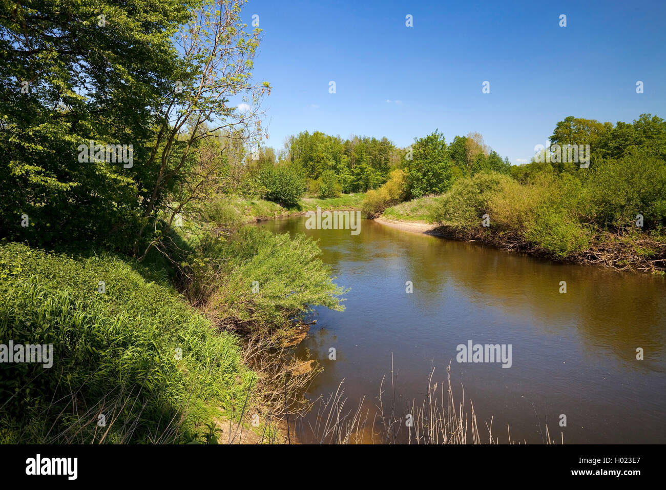 river Ems in Emsdetten, Germany, North Rhine-Westphalia, Muensterland ...