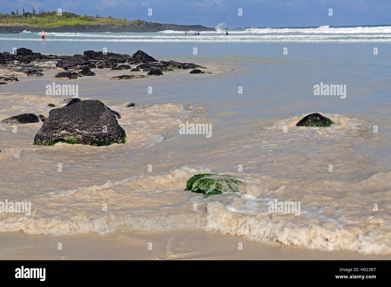 beach of Tortuga Bay, Ecuador, Galapagos Islands, Santa Cruz Stock ...