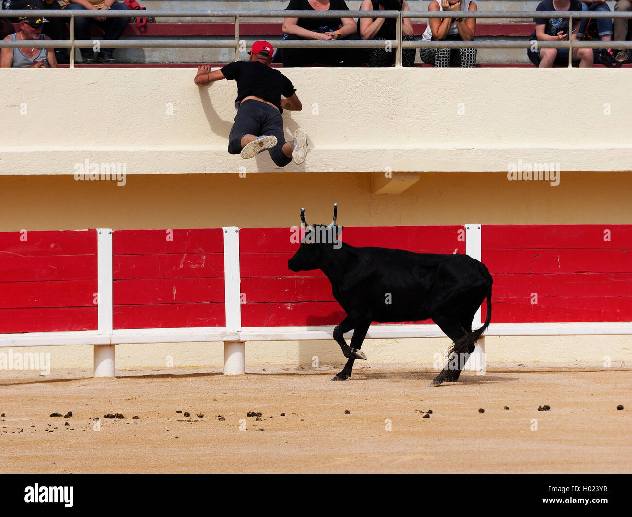 Bloodless animals hi-res stock photography and images - Alamy