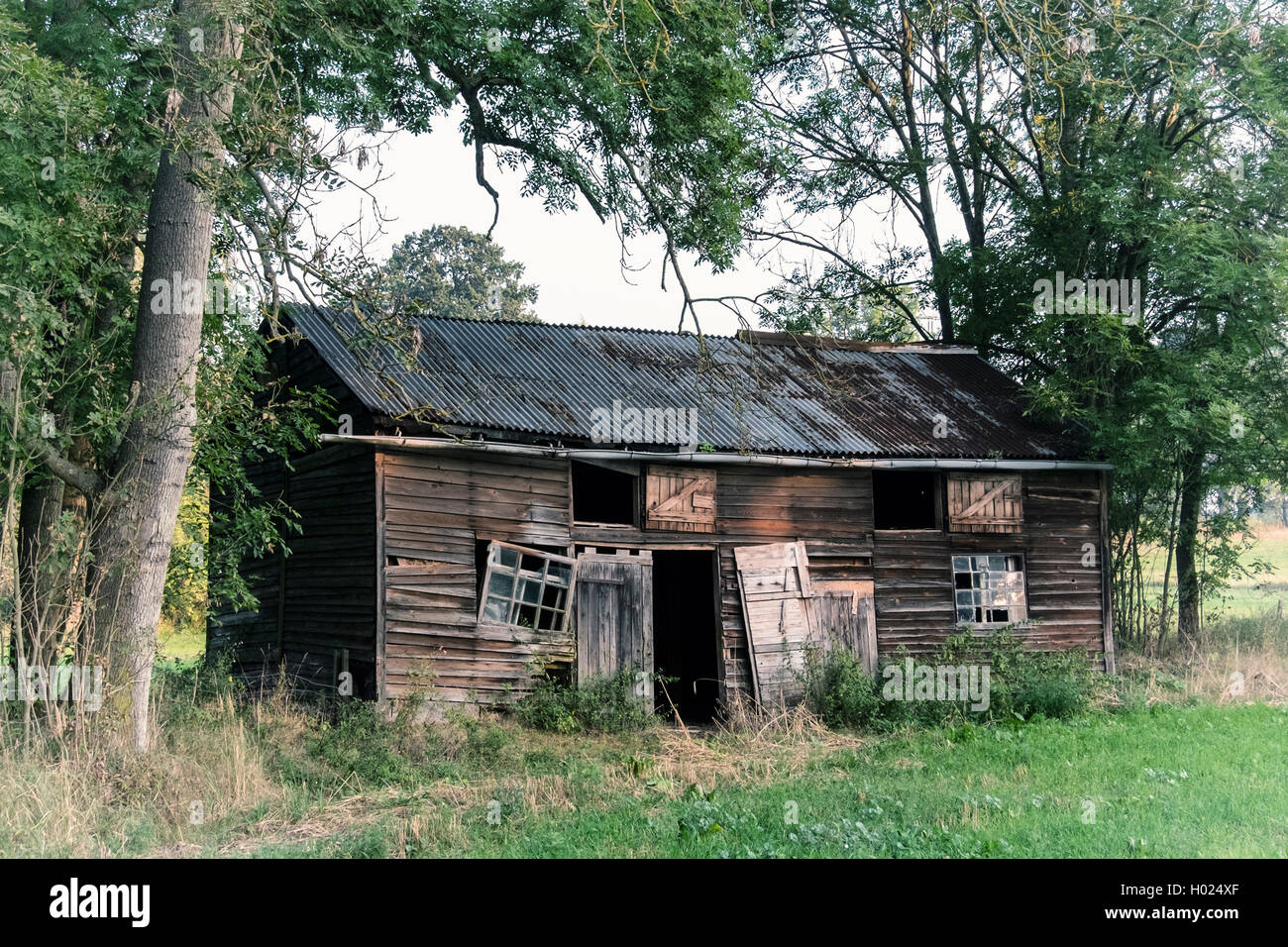 Dilapidated old wooden farmyard barn in farm field, Brandenburg ...