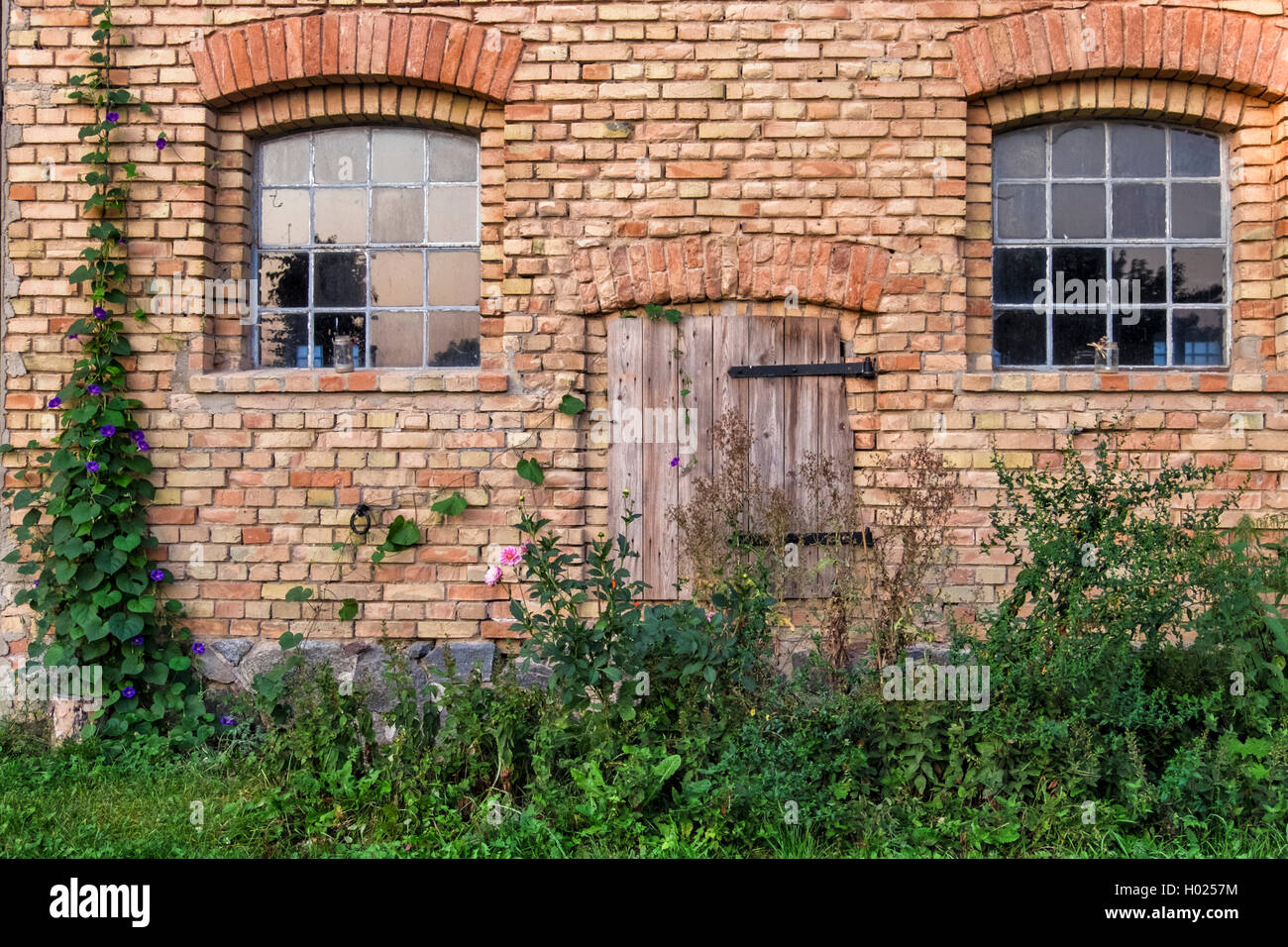 Restored old brick barn exterior and wooden door at Gut Boltenhof Hotel ...