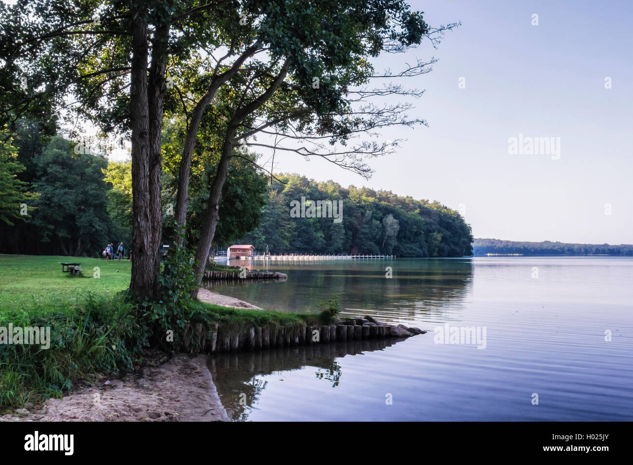 Scenic landscape view of calm water of Stechlin Lake, Großer ...