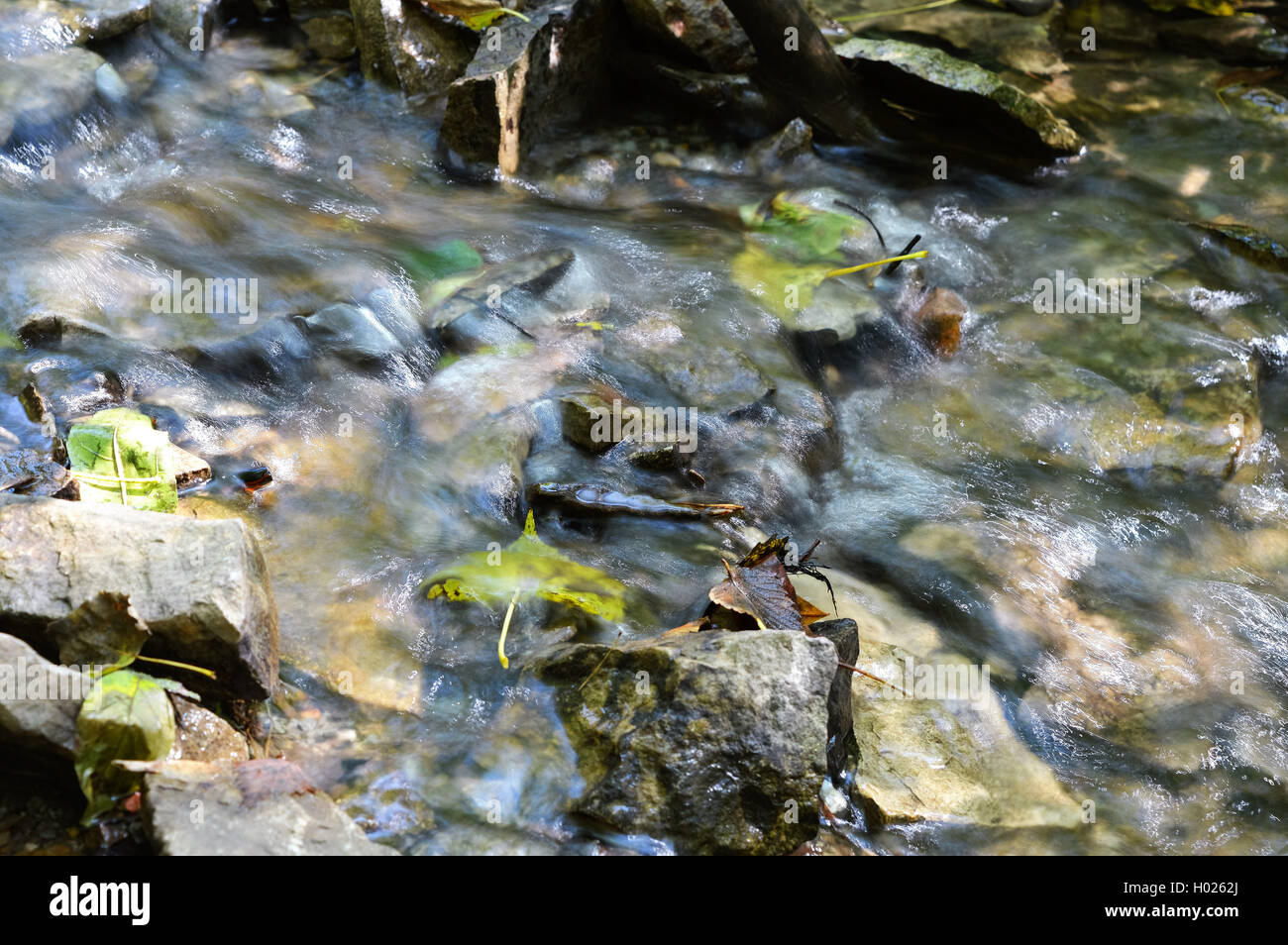 Water Running in the Woods Stock Photo - Alamy