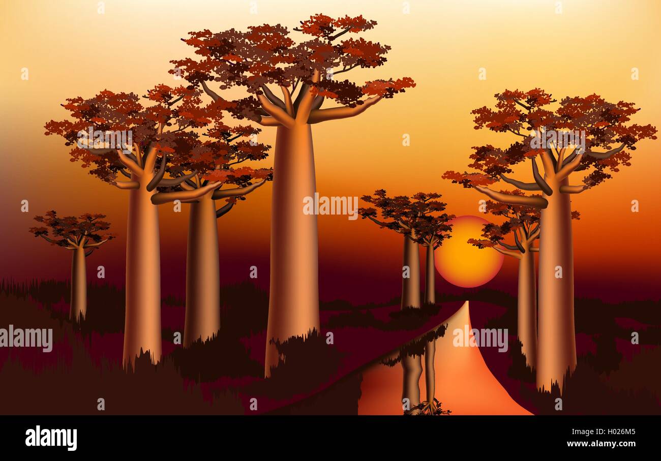 South african forest Stock Vector Images - Alamy