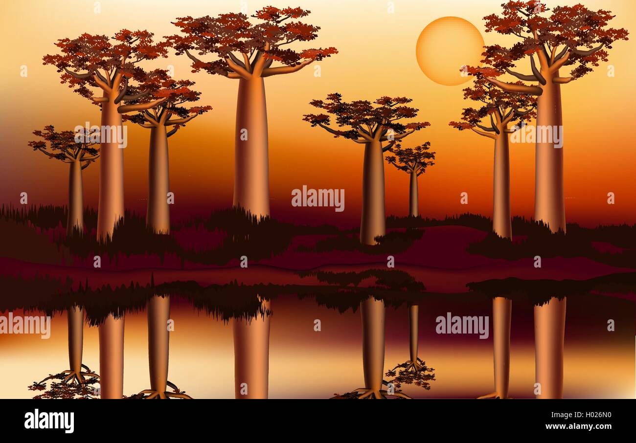 South african forest Stock Vector Images - Alamy