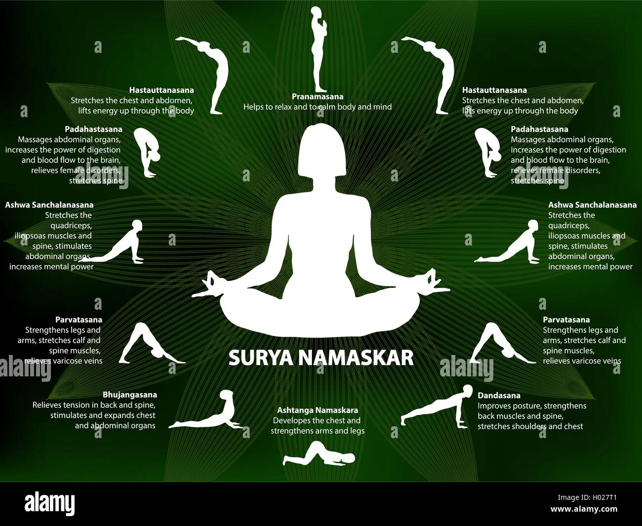 Yoga infographics, Surya Namaskar sequence Stock Vector Image & Art - Alamy