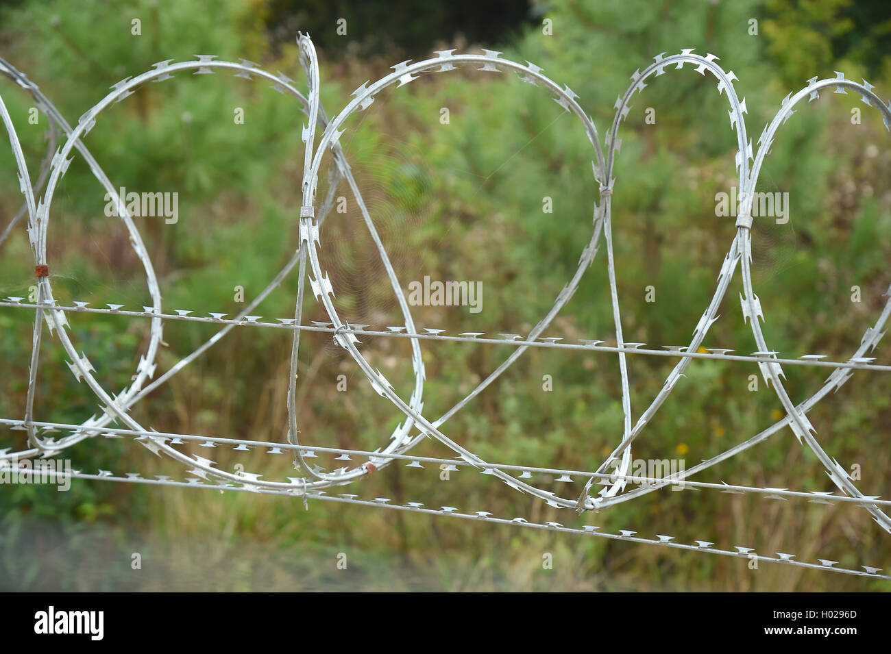 Electrified Wire Fence High Resolution Stock Photography and Images - Alamy
